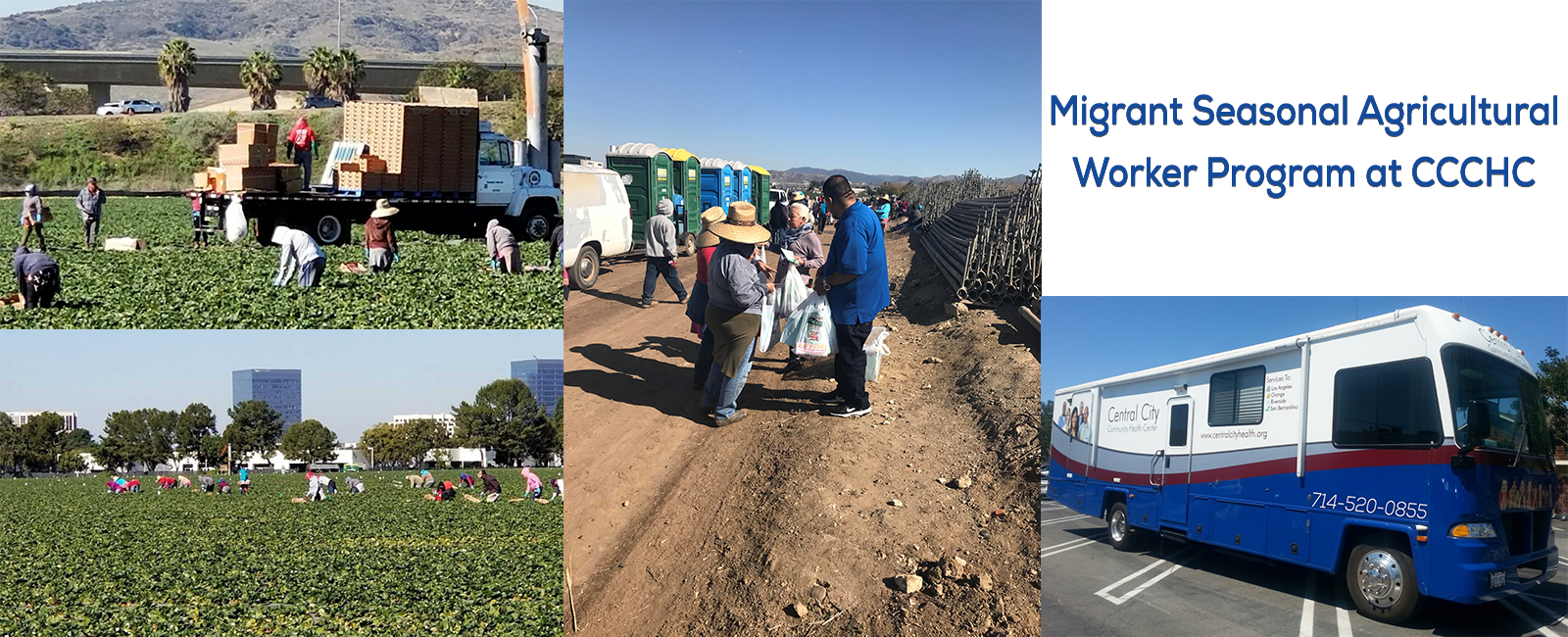 Programa de Trabajadores Agrícolas Temporales Migrantes (MSAW ...